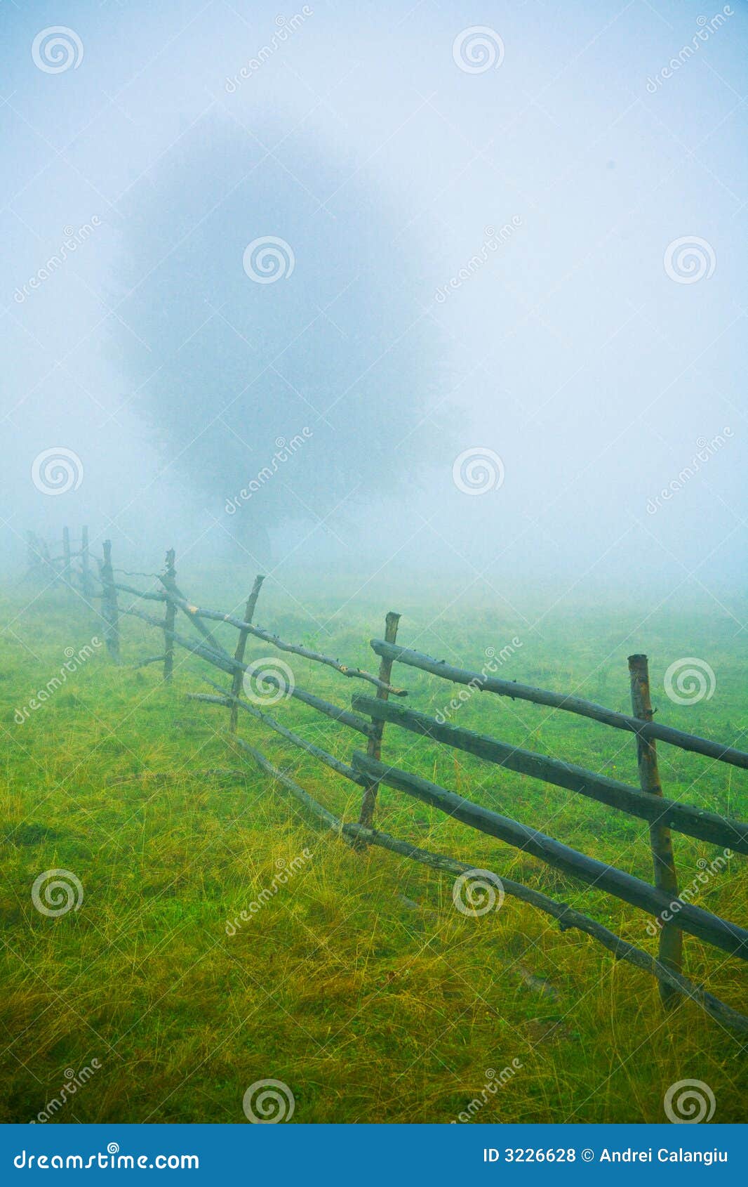 Fog stock photo. Image of farm, haze, cool, humid, ranch - 3226628