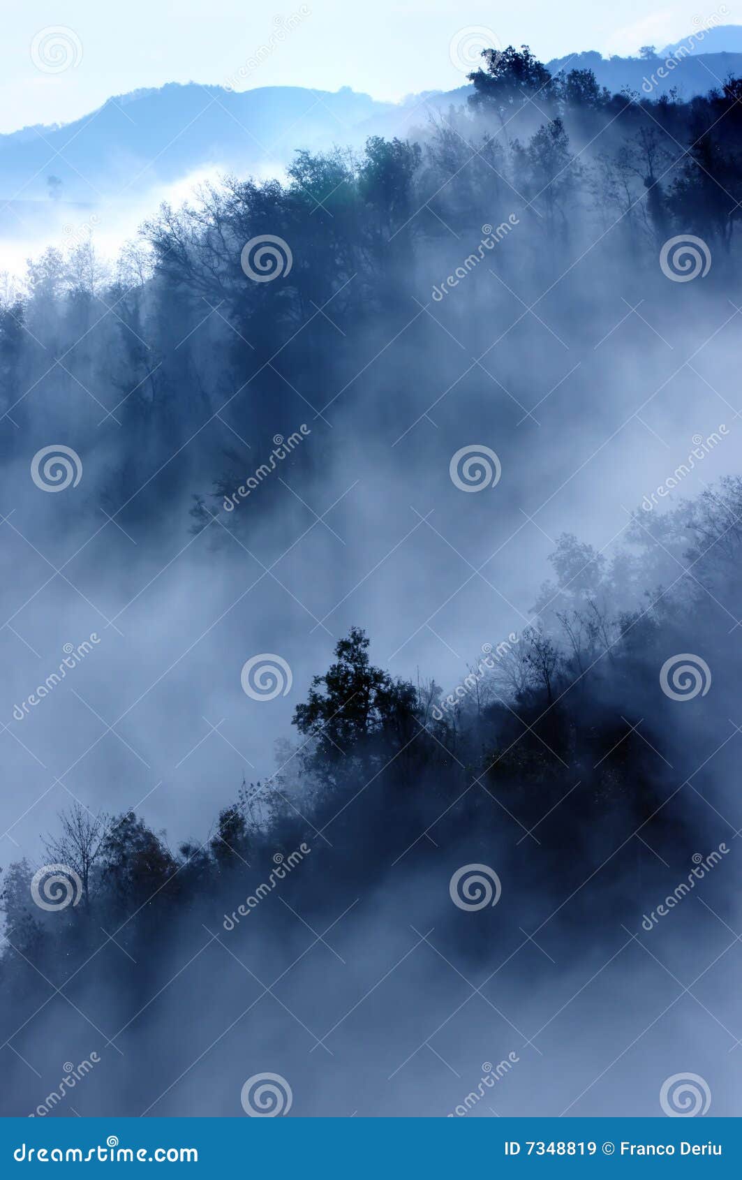 Fog stock image. Image of storm, vacation, wood, nature - 7348819