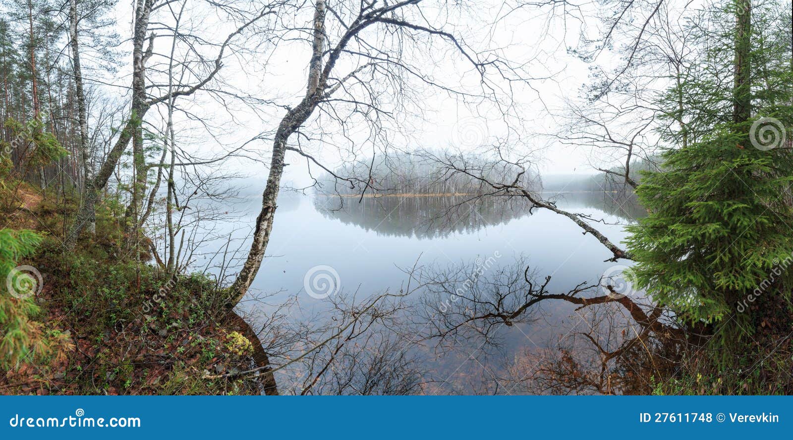 Fog on autumn lake stock photo. Image of natural, calm - 27611748