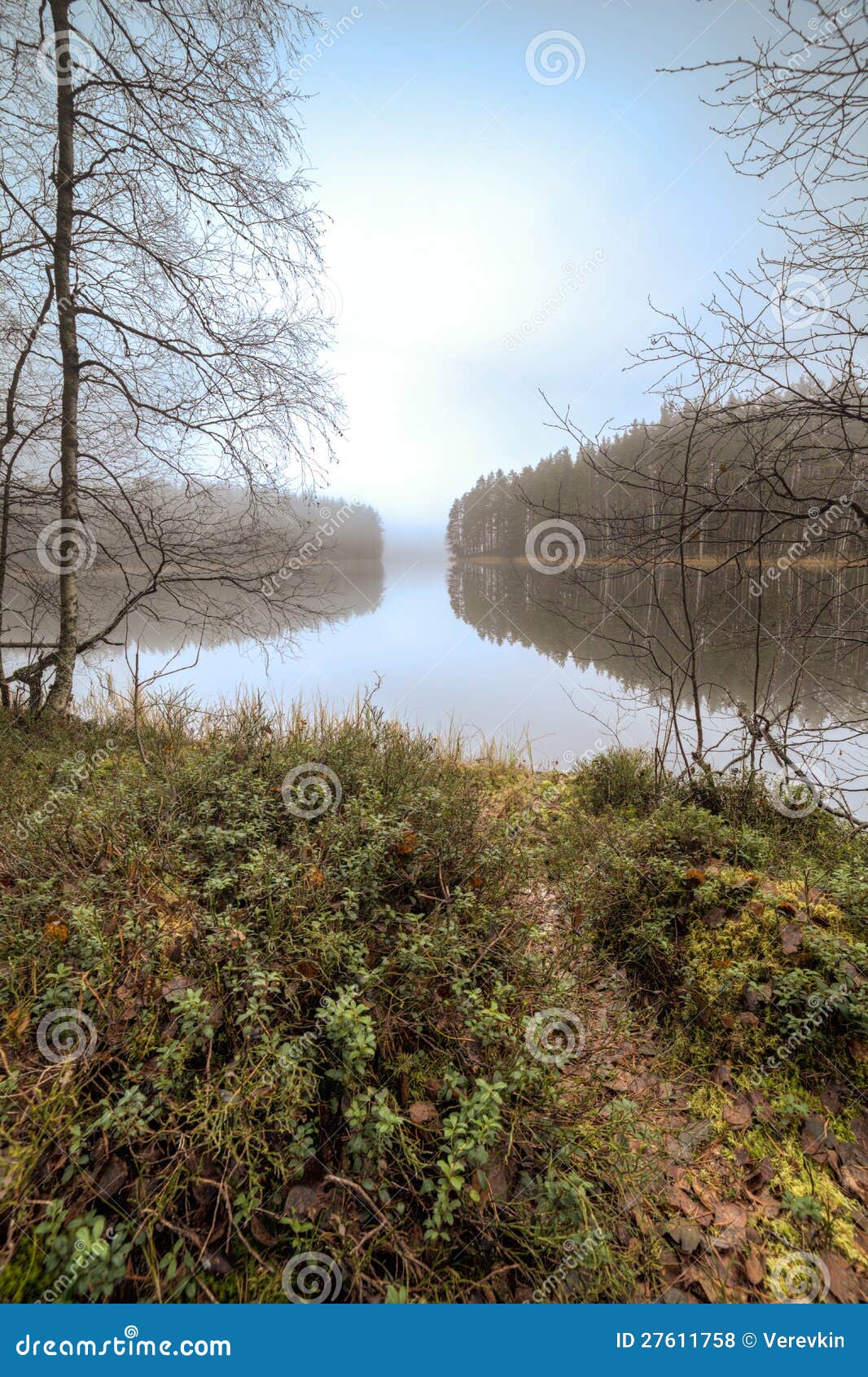 Fog on autumn lake stock photo. Image of wildlife, calm - 27611758