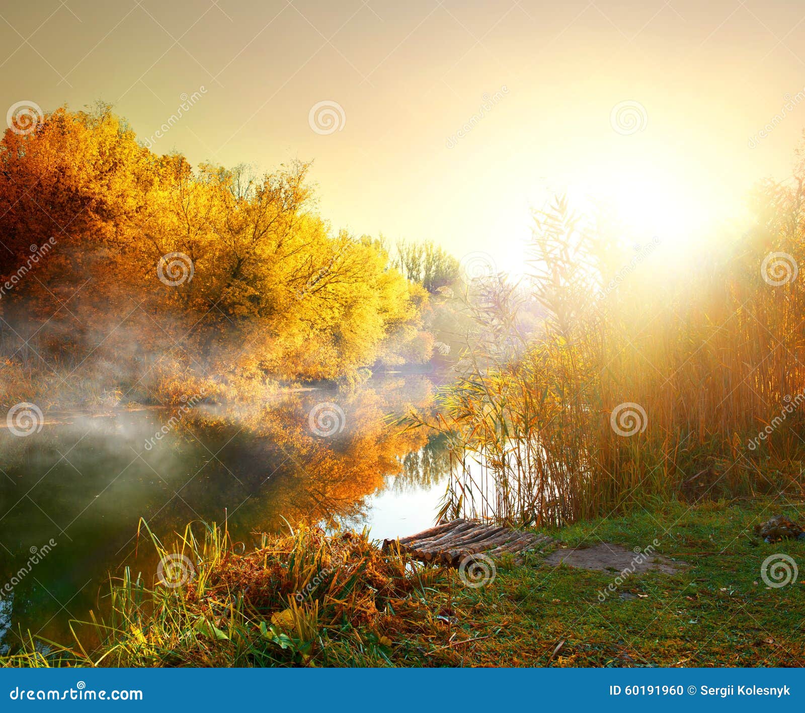 Fog in autumn stock photo. Image of nature, fishing, morning - 60191960