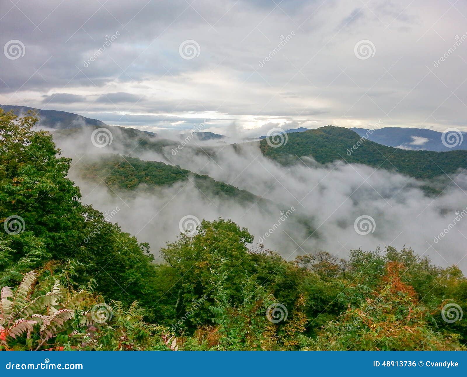 Fog on the Blue Ridge Mountains North Carolina Stock Photo - Image of ...