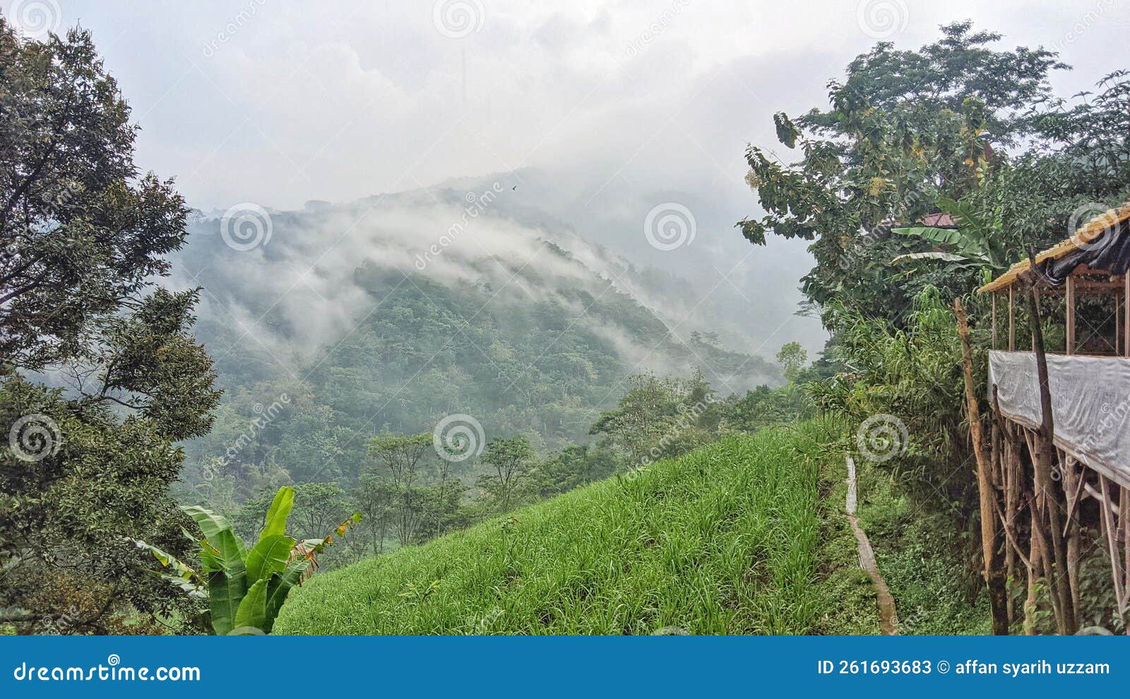 When the Fog Came and Covered Mount Muria Stock Image - Image of hill ...