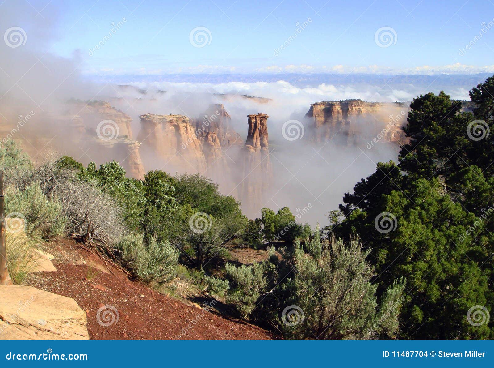 Fog canyon map without shade cloak - herystealth