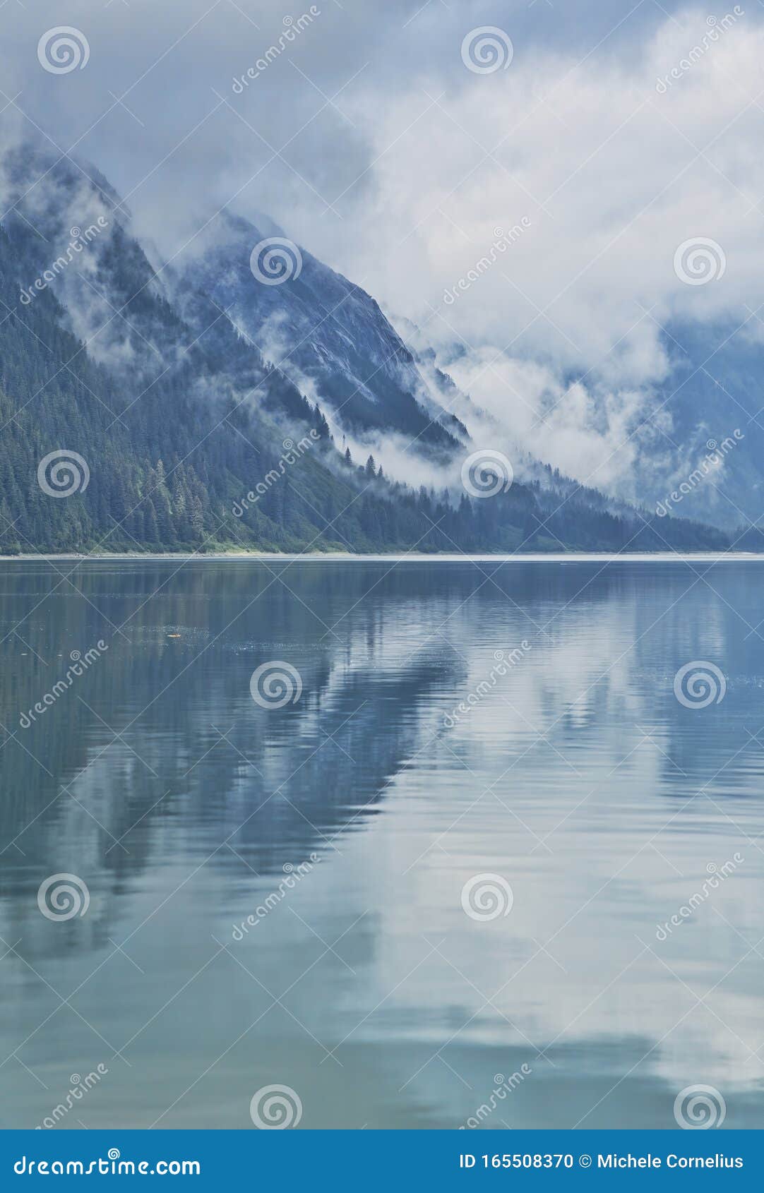 Fog Clearing in Southeast Alaska Stock Photo - Image of inside, natural ...