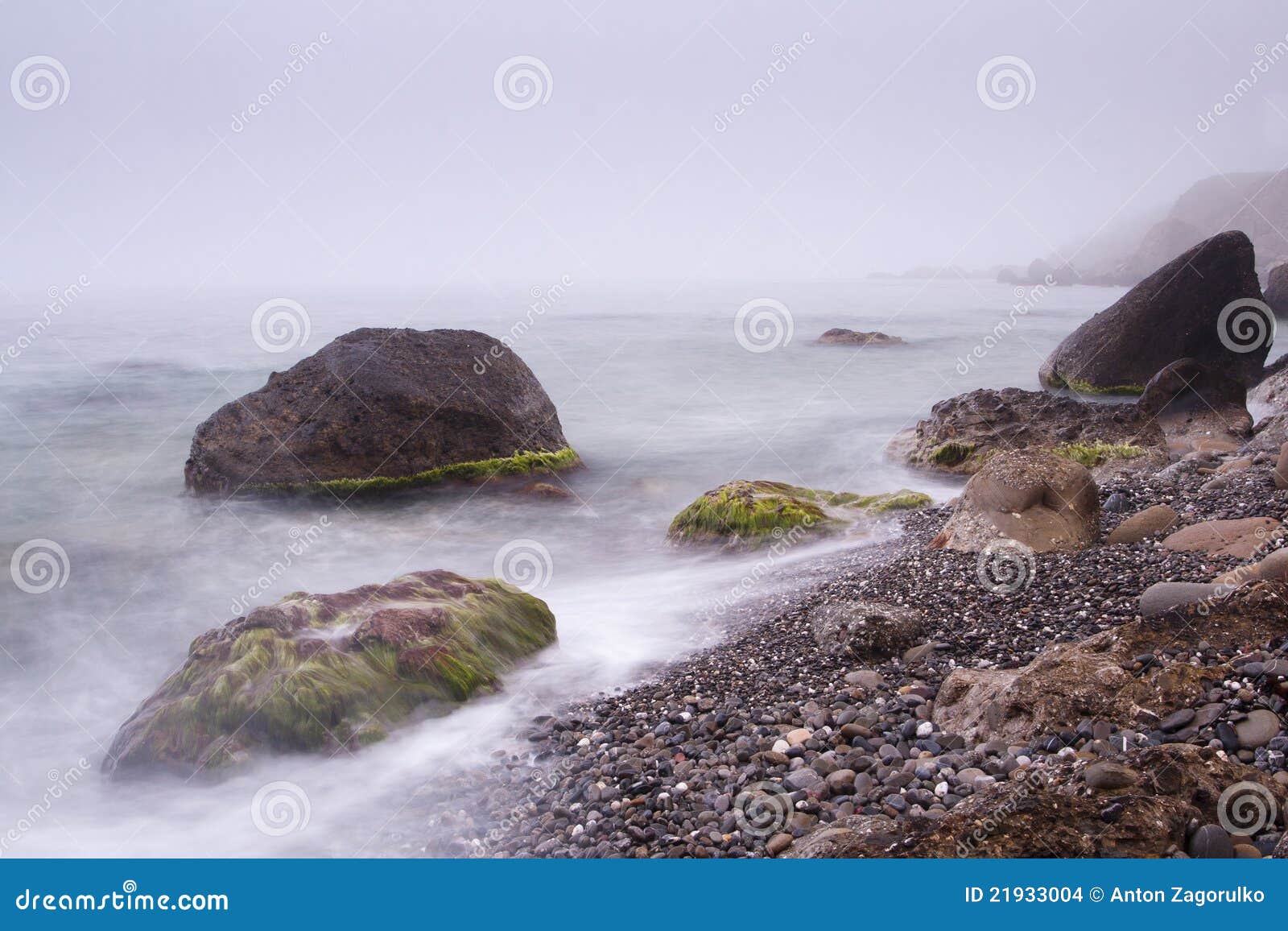 Fog coast stock photo. Image of wave, salt, mystery, shore - 21933004