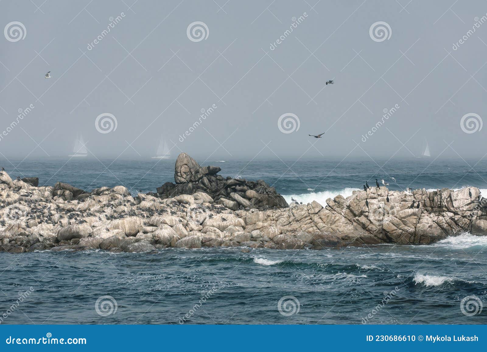 Fog on the Coast of Monterey, California, USA Stock Photo - Image of ...