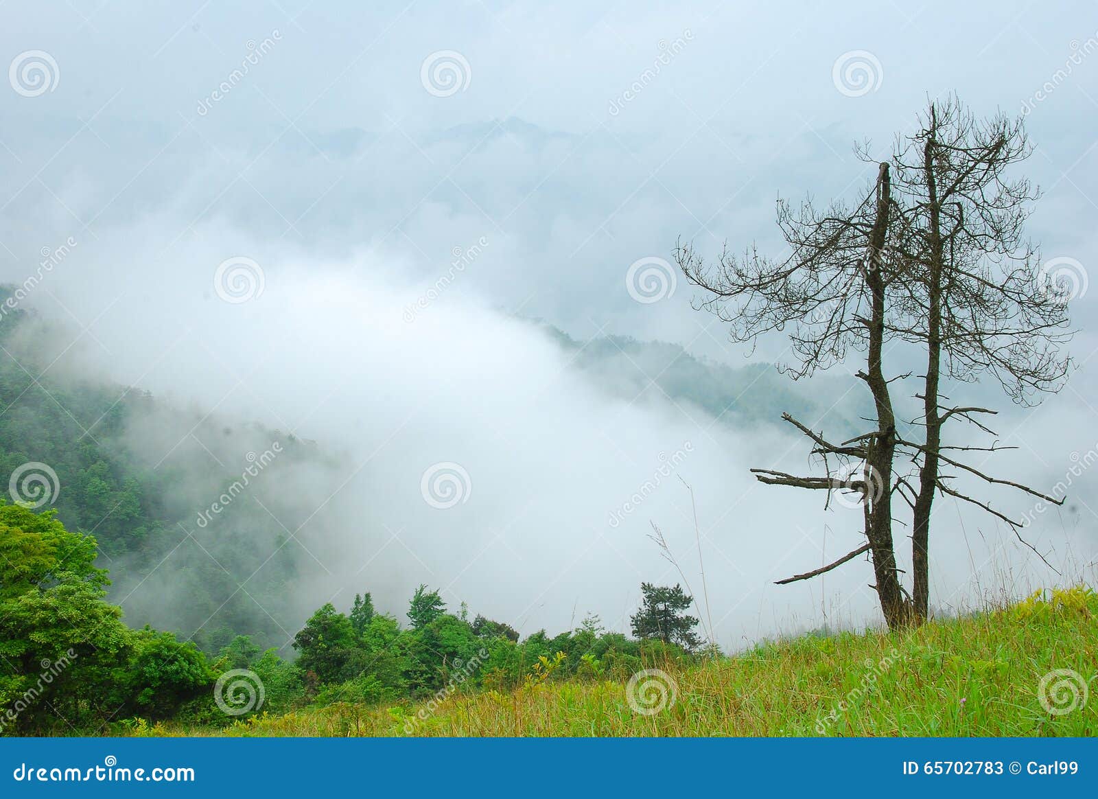 The fog color mountains stock image. Image of background - 65702783