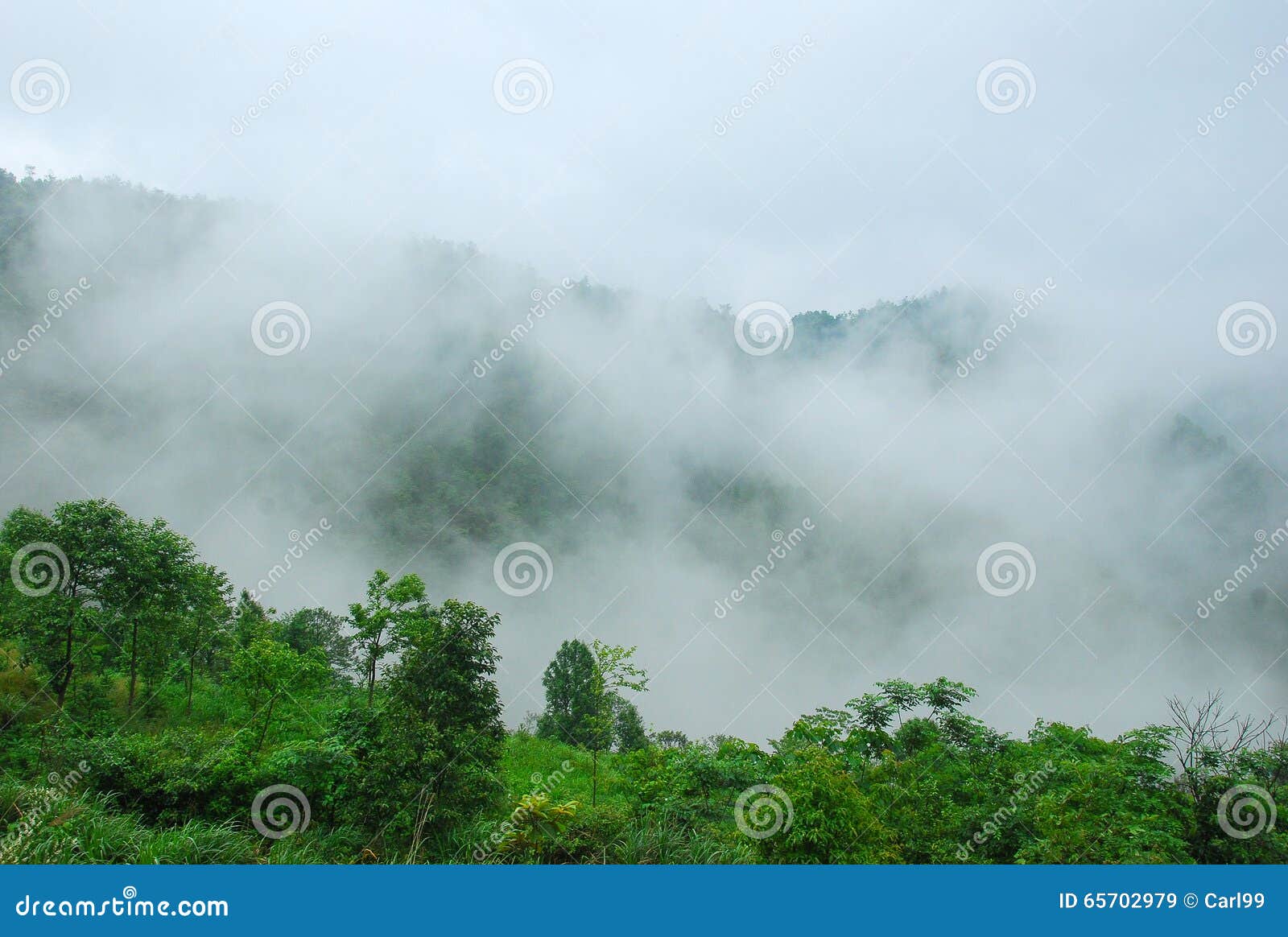 The fog color mountains stock image. Image of outdoor - 65702979