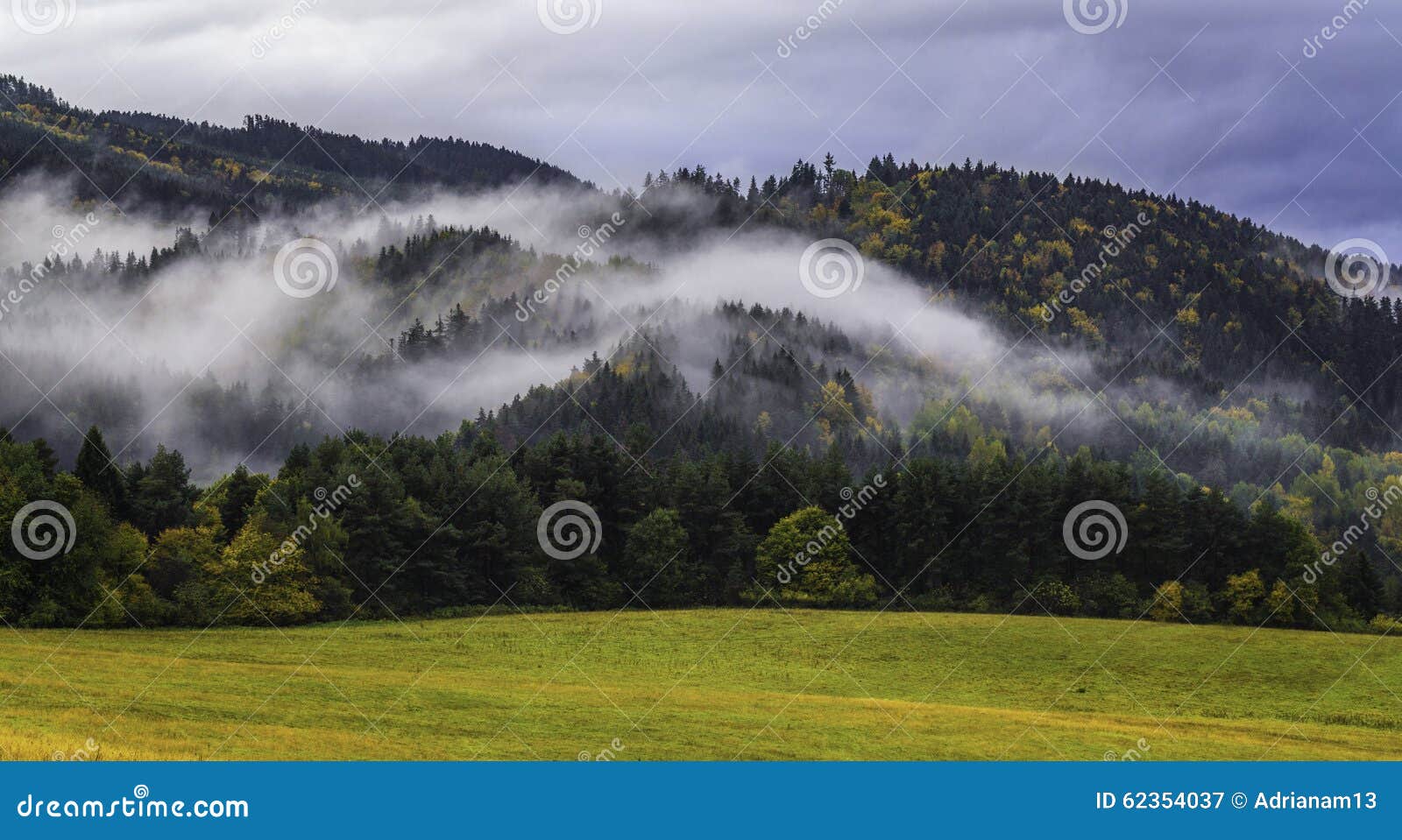 Fog and Colored Trees - Autumn in Slovakia Stock Image - Image of ...