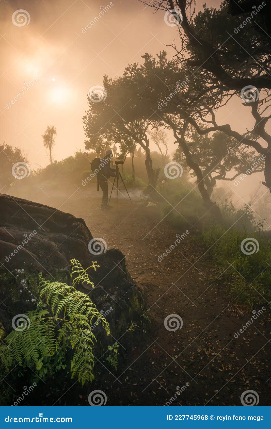 The fog is coming stock photo. Image of morning, warm - 227745968