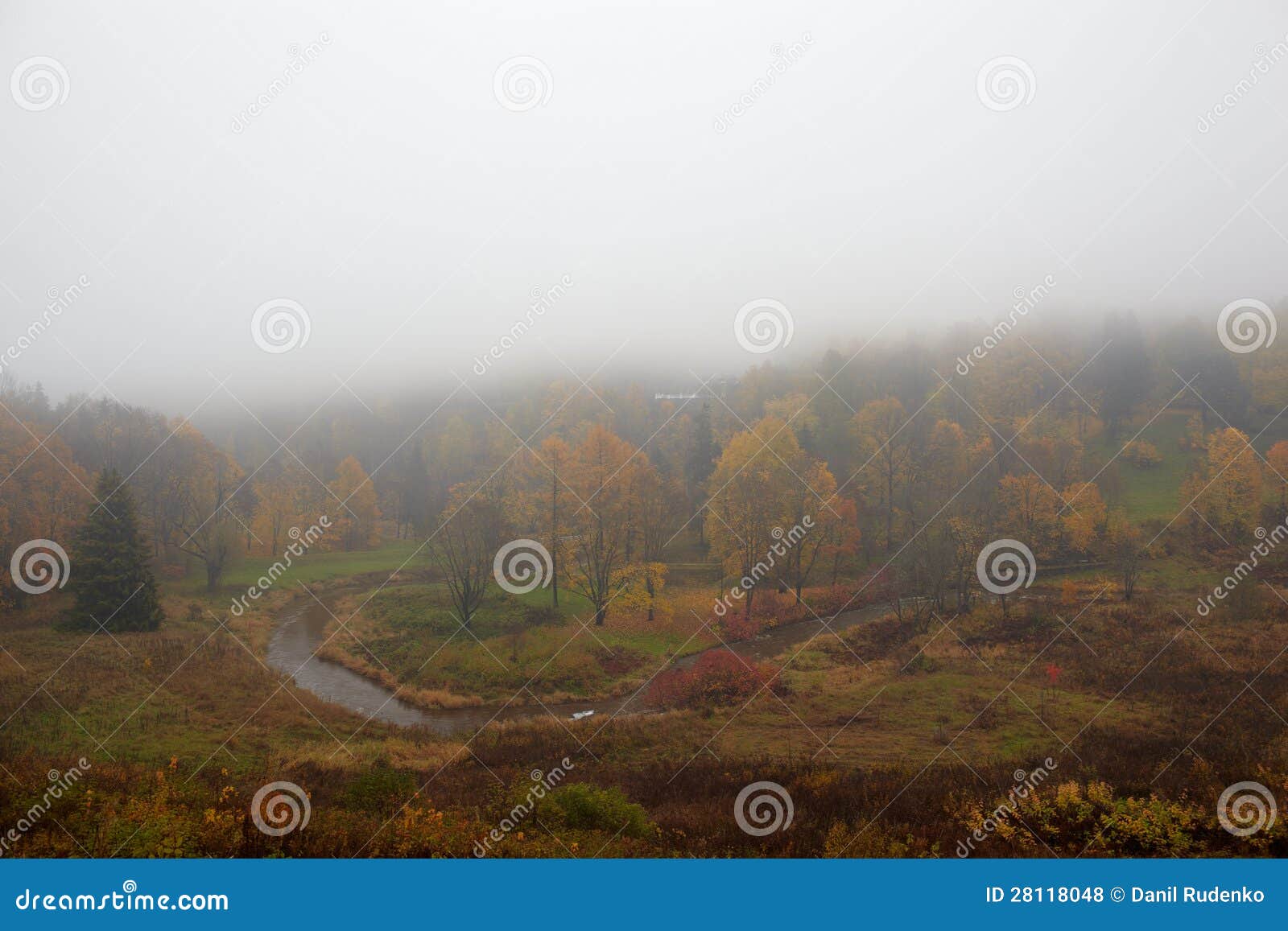 The Fog is Coming on Forest. Stock Photo - Image of foggy, natural ...