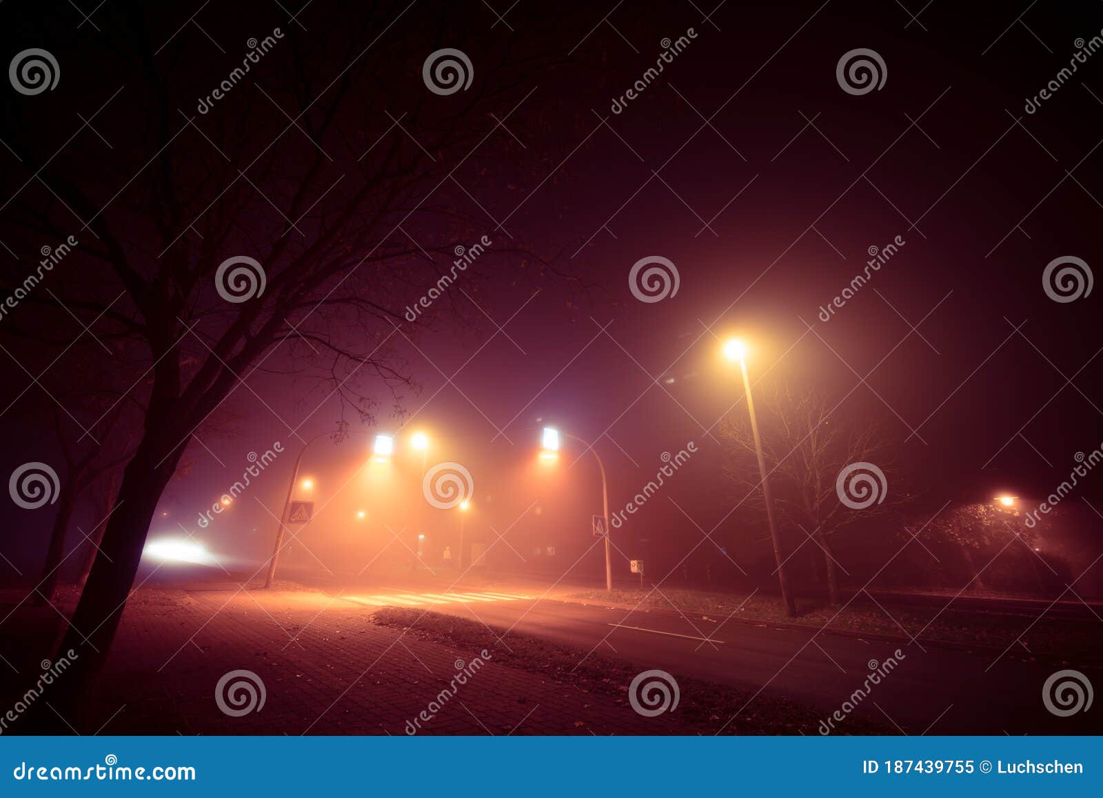 Fog at the Crossroads in the Night City Stock Image - Image of drive ...