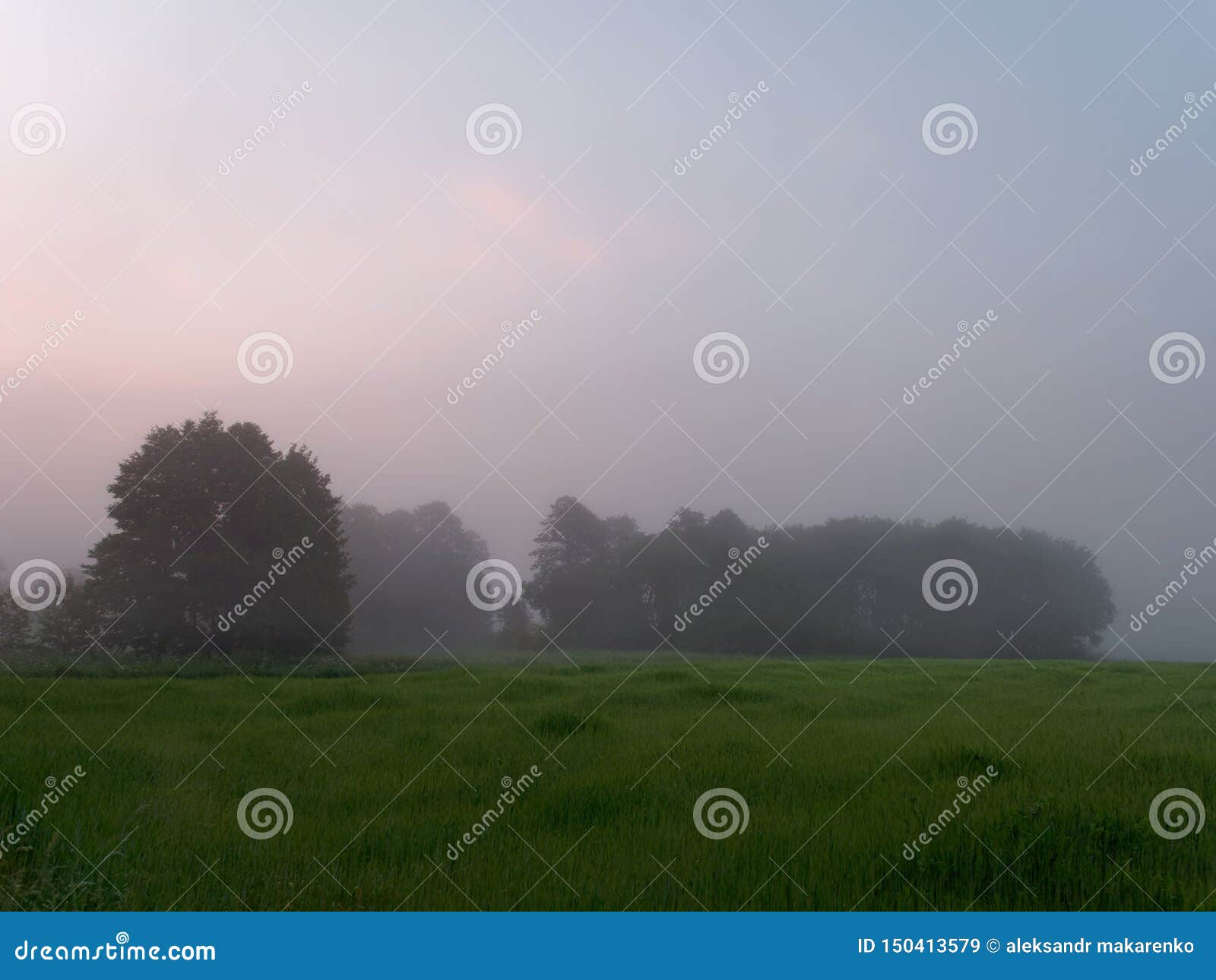 Fog at Dawn Over a Field of Farmland Stock Image - Image of landscape ...