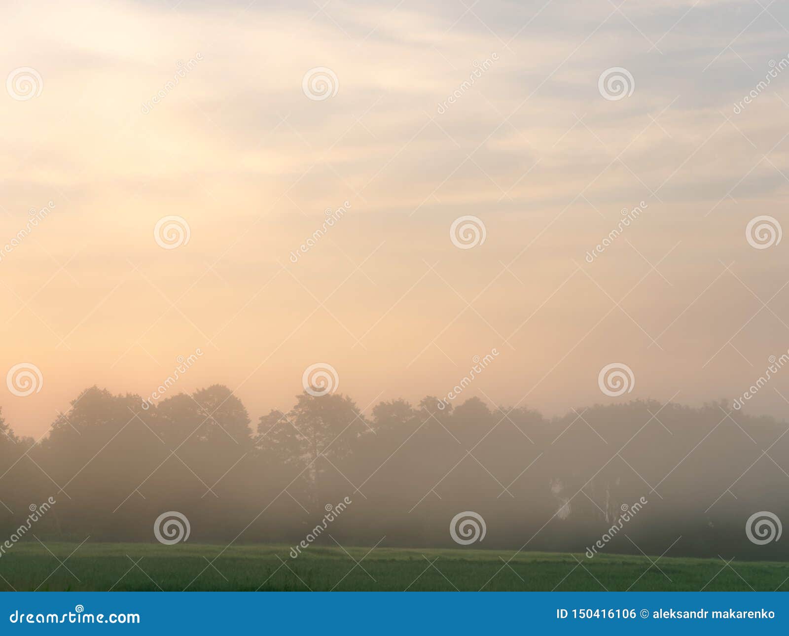Fog at Dawn Over a Field of Farmland Stock Photo - Image of green ...