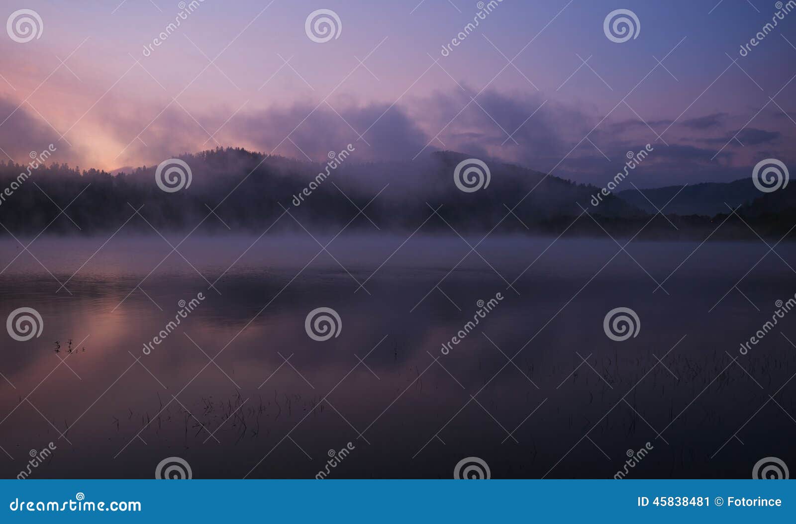 Dawn Over The Rice Field. View Of The Rice Field Through The Leaves ...