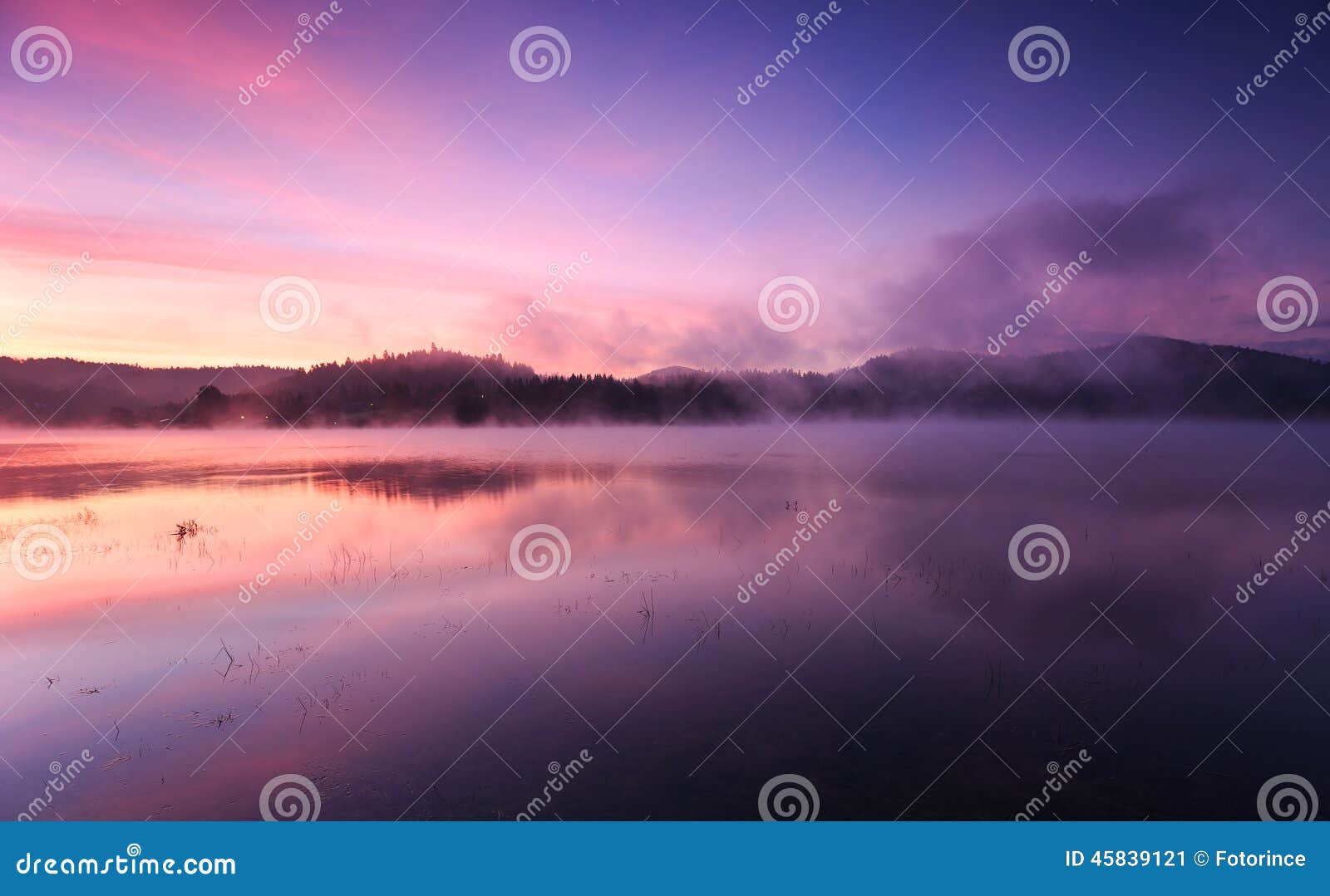 Dawn Over The Rice Field. View Of The Rice Field Through The Leaves ...