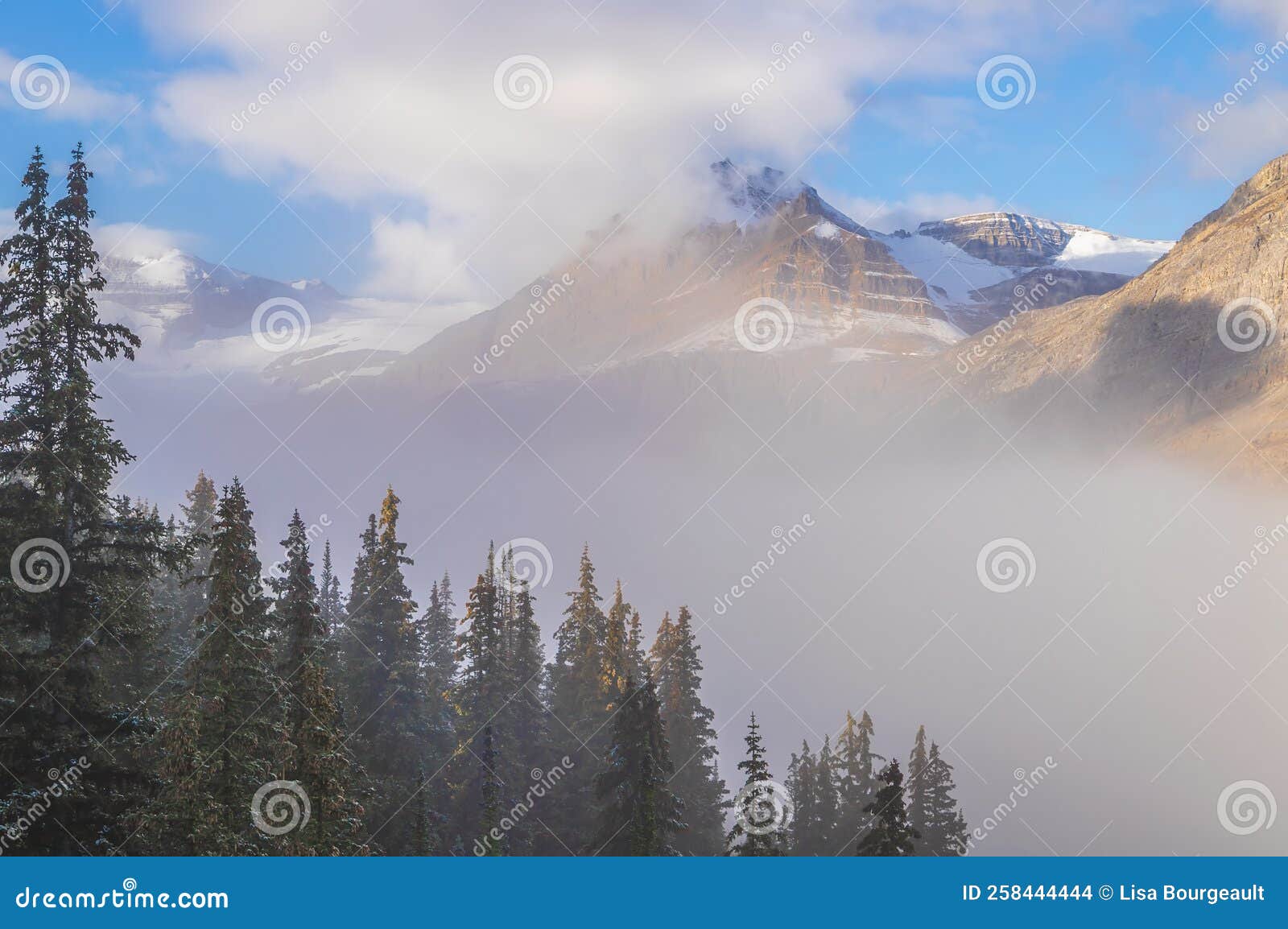 Fog Enveloping Mountains and Trees Stock Photo - Image of travel ...