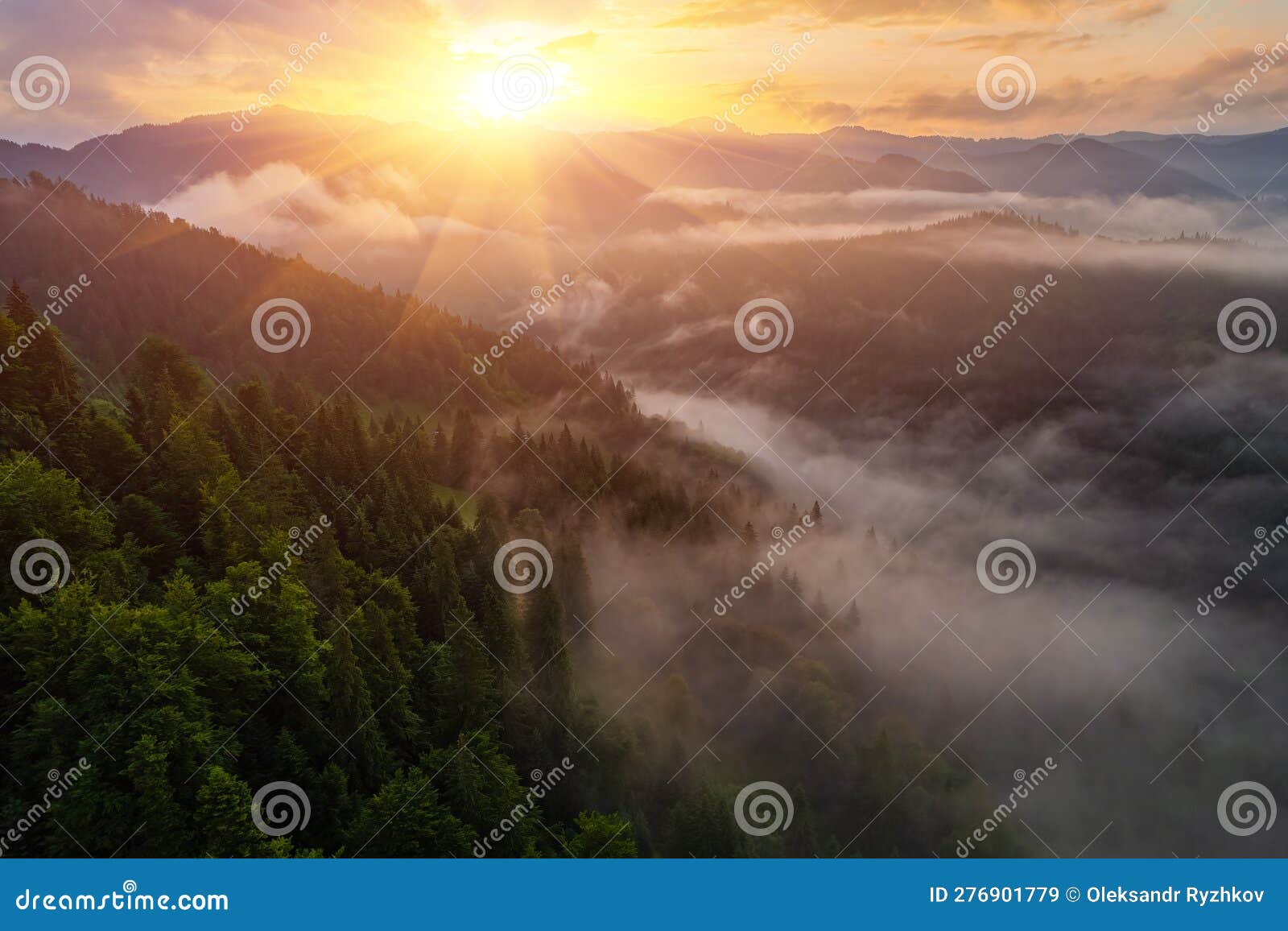 Fog Envelops the Mountain Forest. the Rays of the Rising Sun Break ...