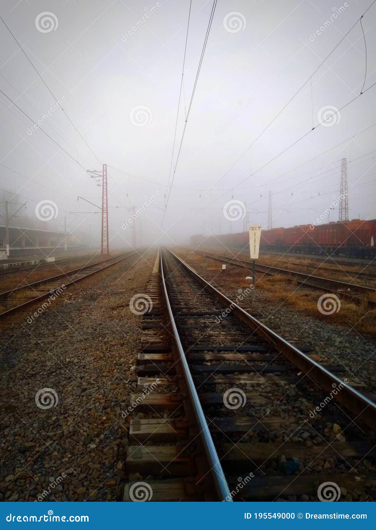 Fog, evening, lines, stock photo. Image of line, transport - 195549000
