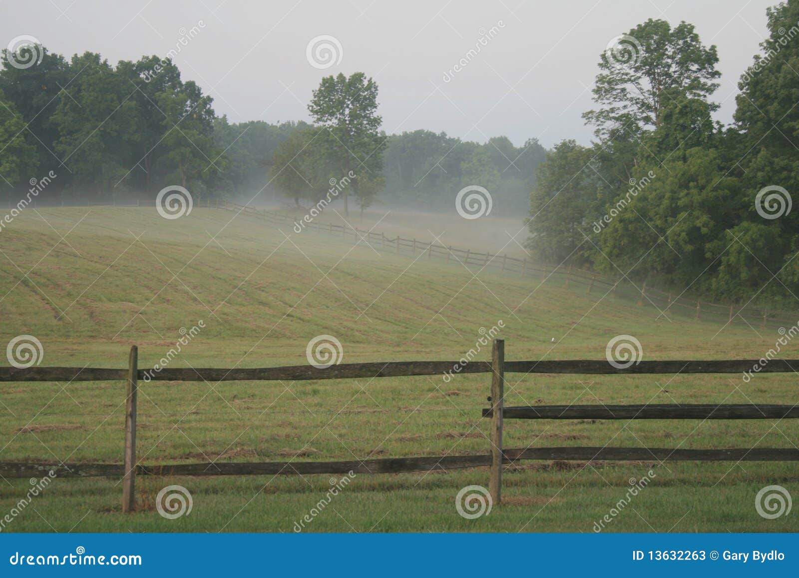 Fog on the Farm stock image. Image of farms, field, ohio - 13632263