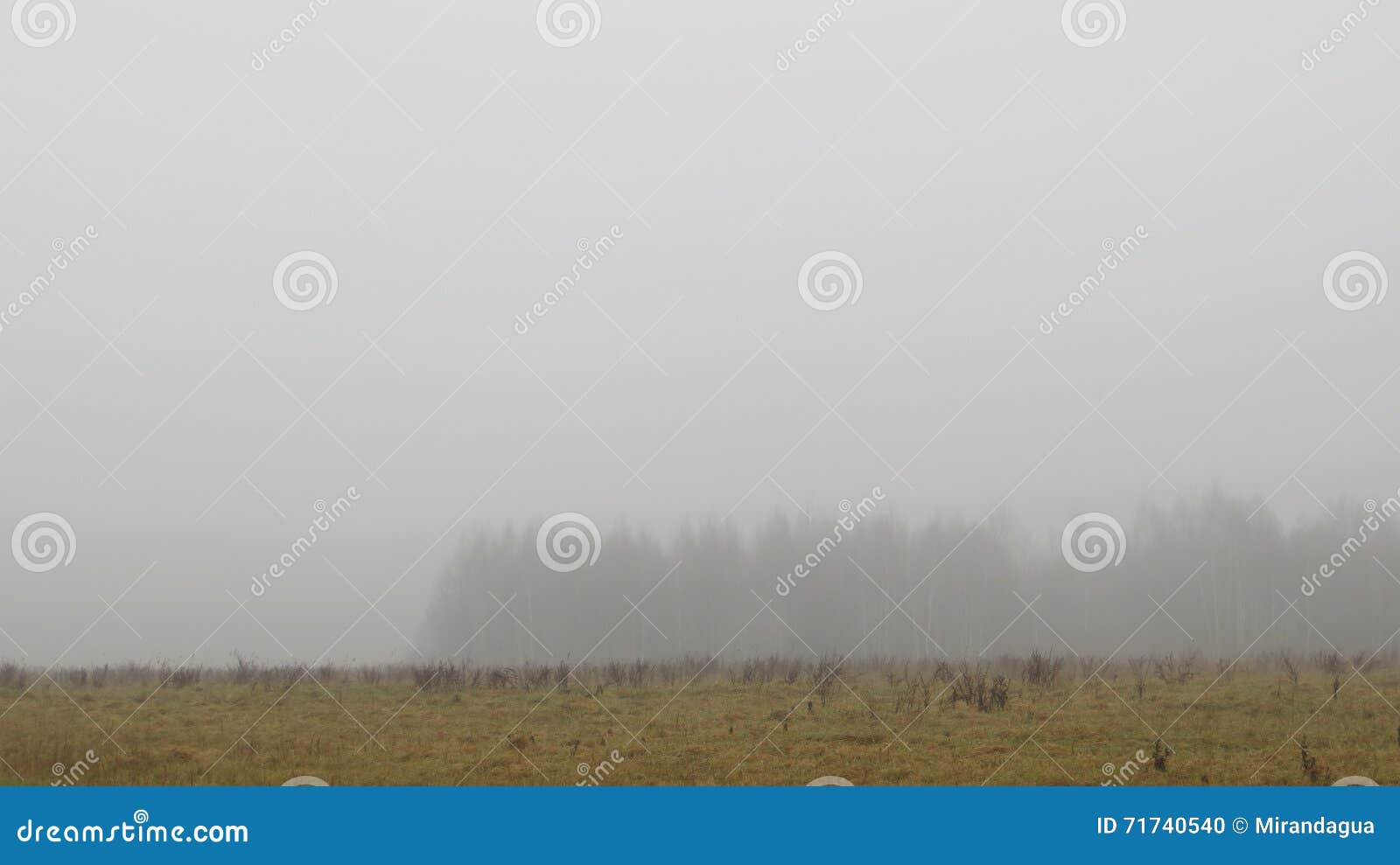 Fog in the field stock photo. Image of hayfield, mist - 71740540