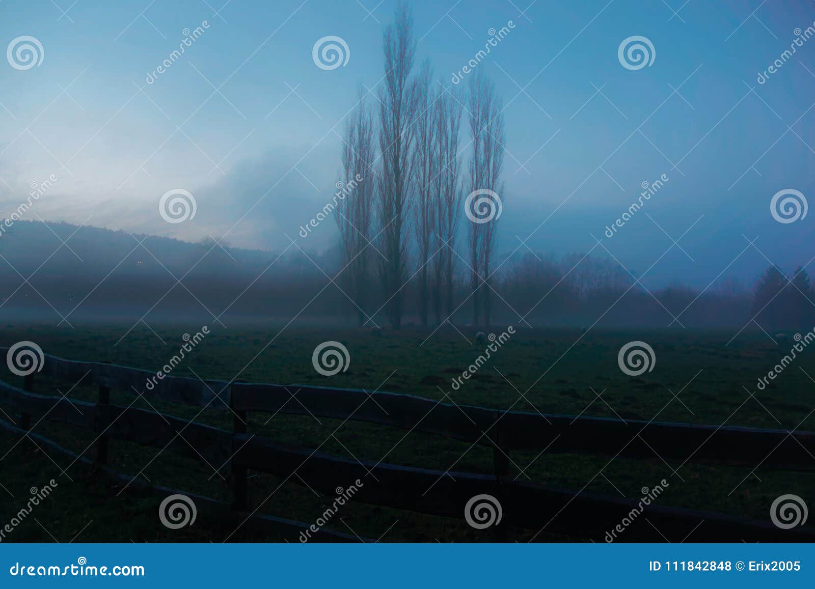 Fog in field stock photo. Image of typical, scenic, nature - 111842848