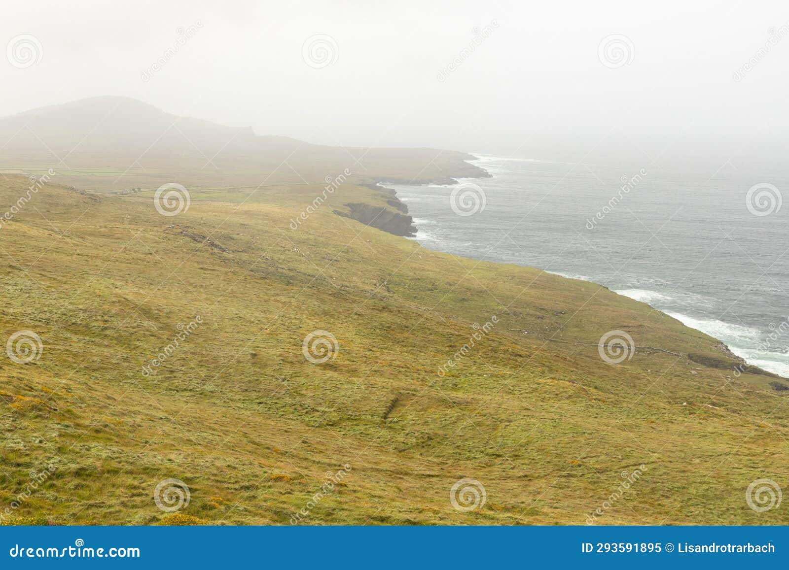 Fog in the Fields and Ocean Stock Image - Image of valentia, cliffs ...