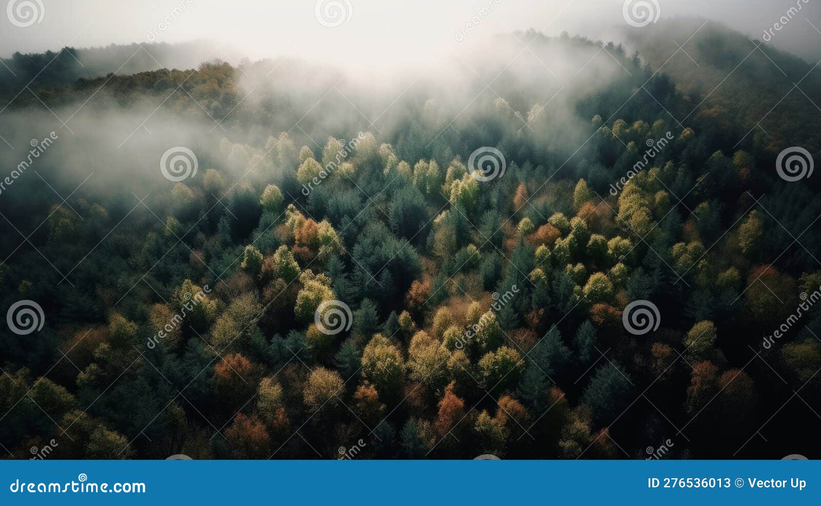Fog in Forest Aerial View. Generative AI Stock Illustration ...