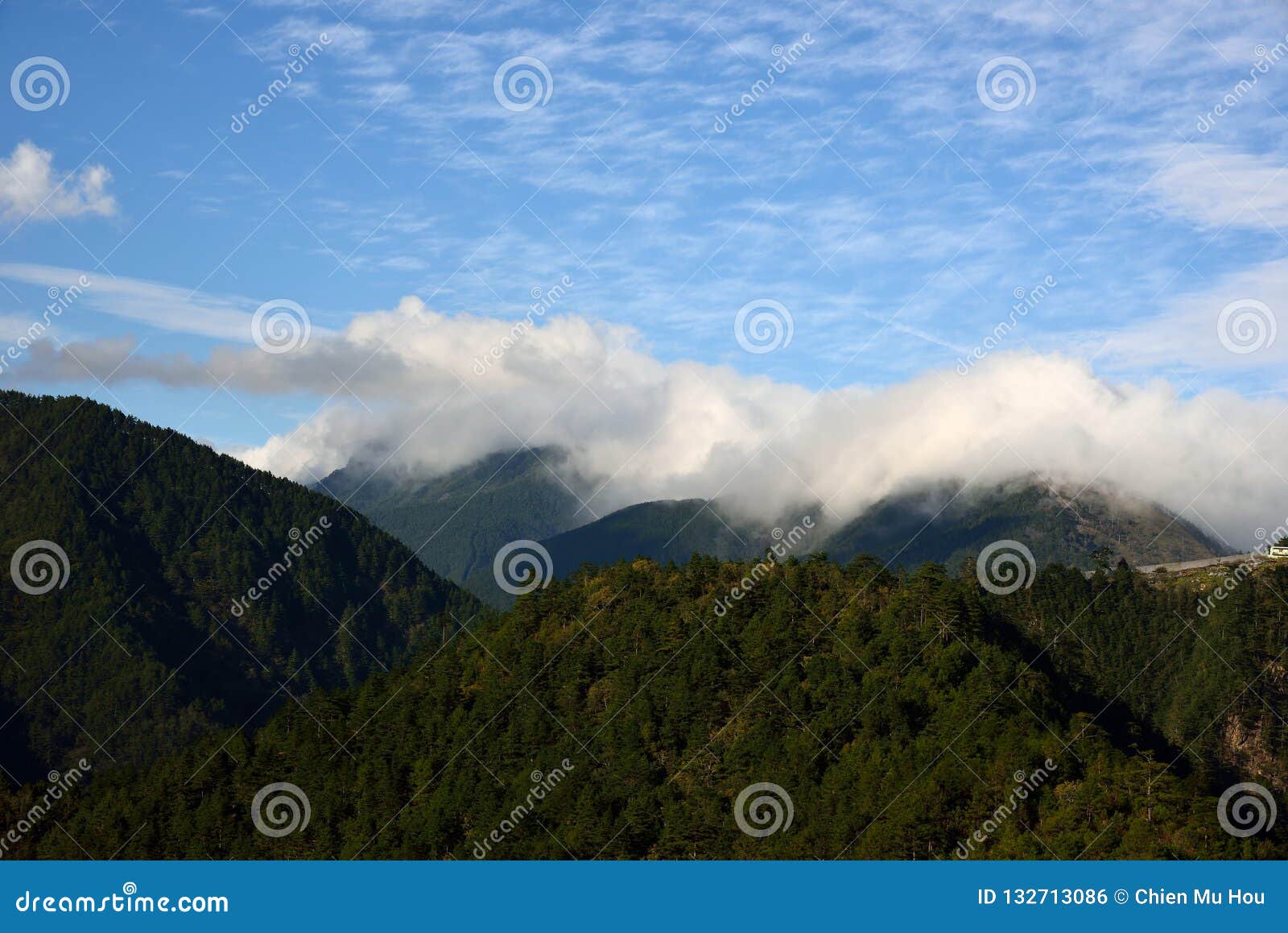 Fog in the Forest on Mount. Stock Photo - Image of beautiful, smoky ...