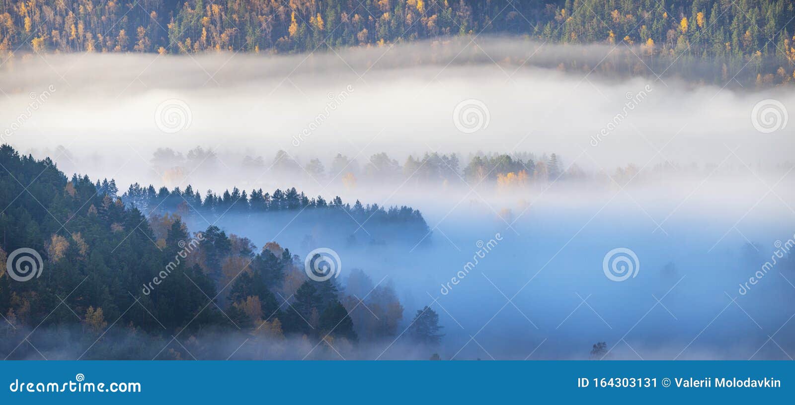 Fog in the Forest, View from Above Stock Image - Image of recreation ...