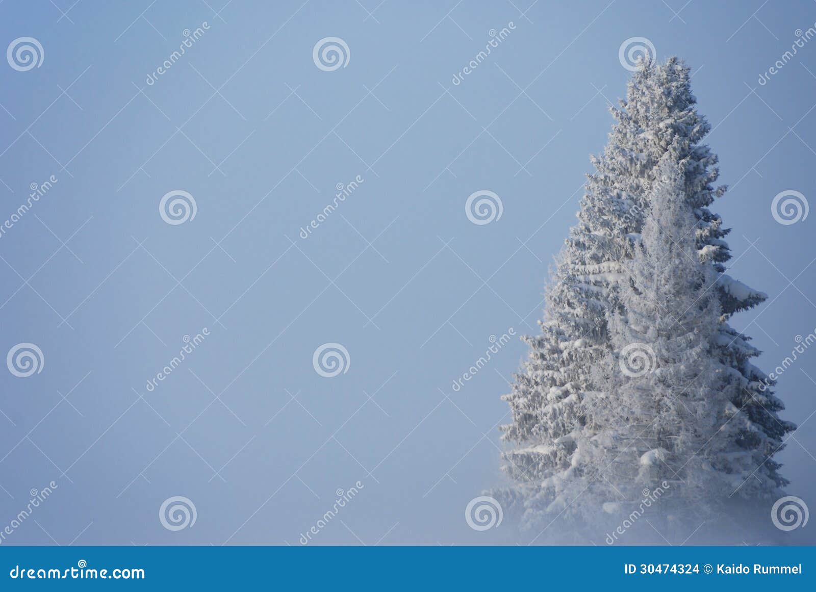 Freezing winter day stock photo. Image of frosty, chilly - 30474324
