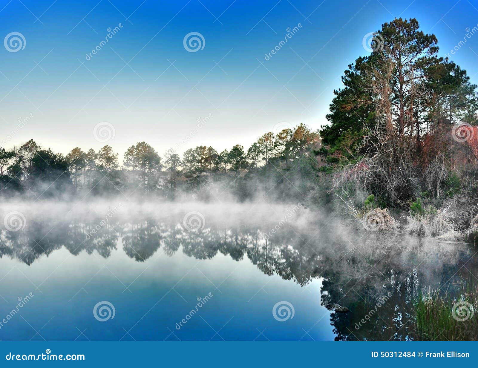 The Fog Freezing stock photo. Image of morning, light - 50312484