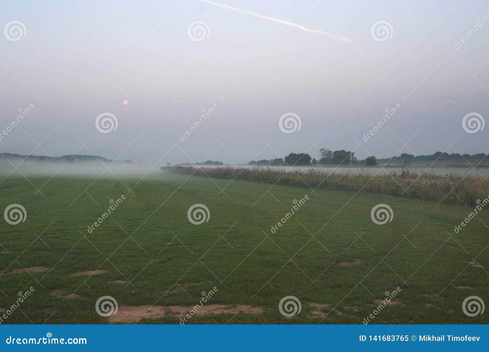 Fog on a grass field stock image. Image of mist, green - 141683765