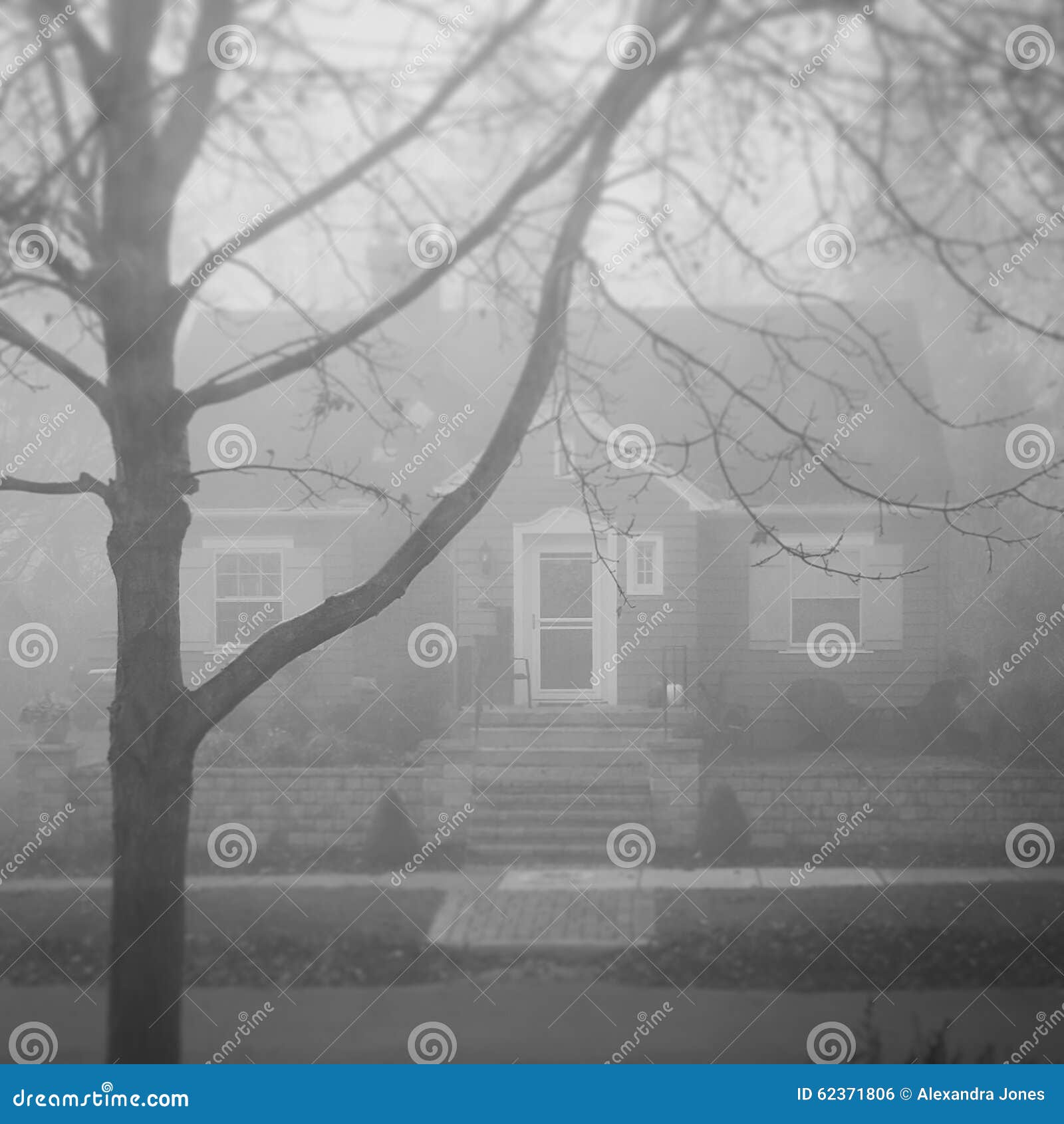 The Fog stock photo. Image of monochrome, home, house - 62371806