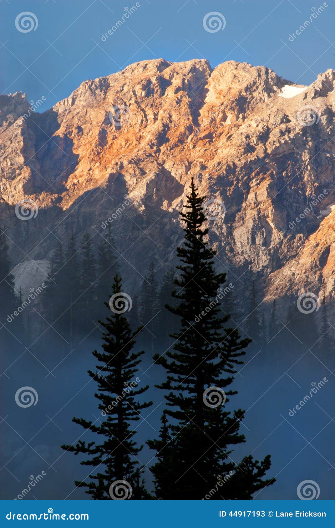 Fog and Isolated Pine Tree on Rugged Mountainside Stock Image - Image ...