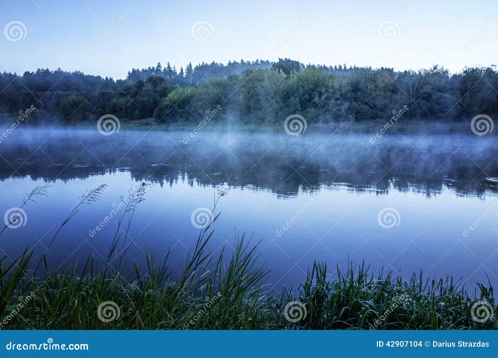 Fog on the lake stock photo. Image of cold, water, landscape - 42907104