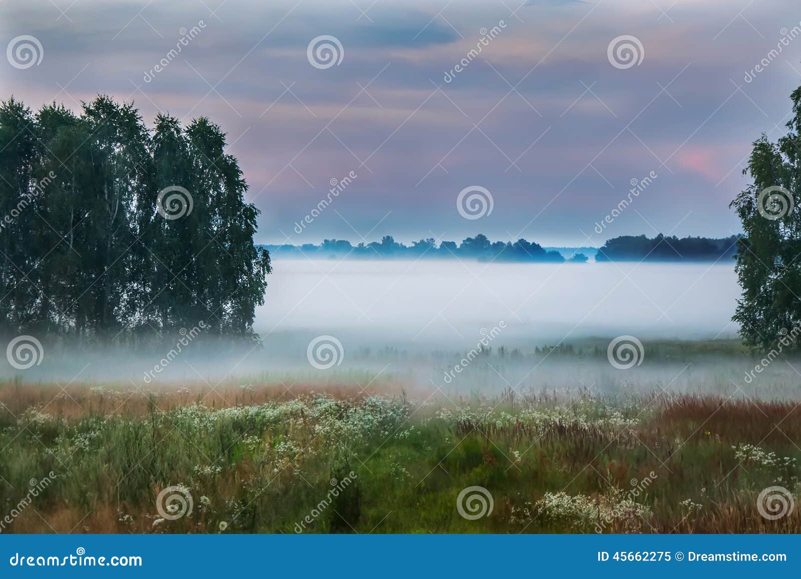 Fog landscape stock image. Image of province, pastel - 45662275