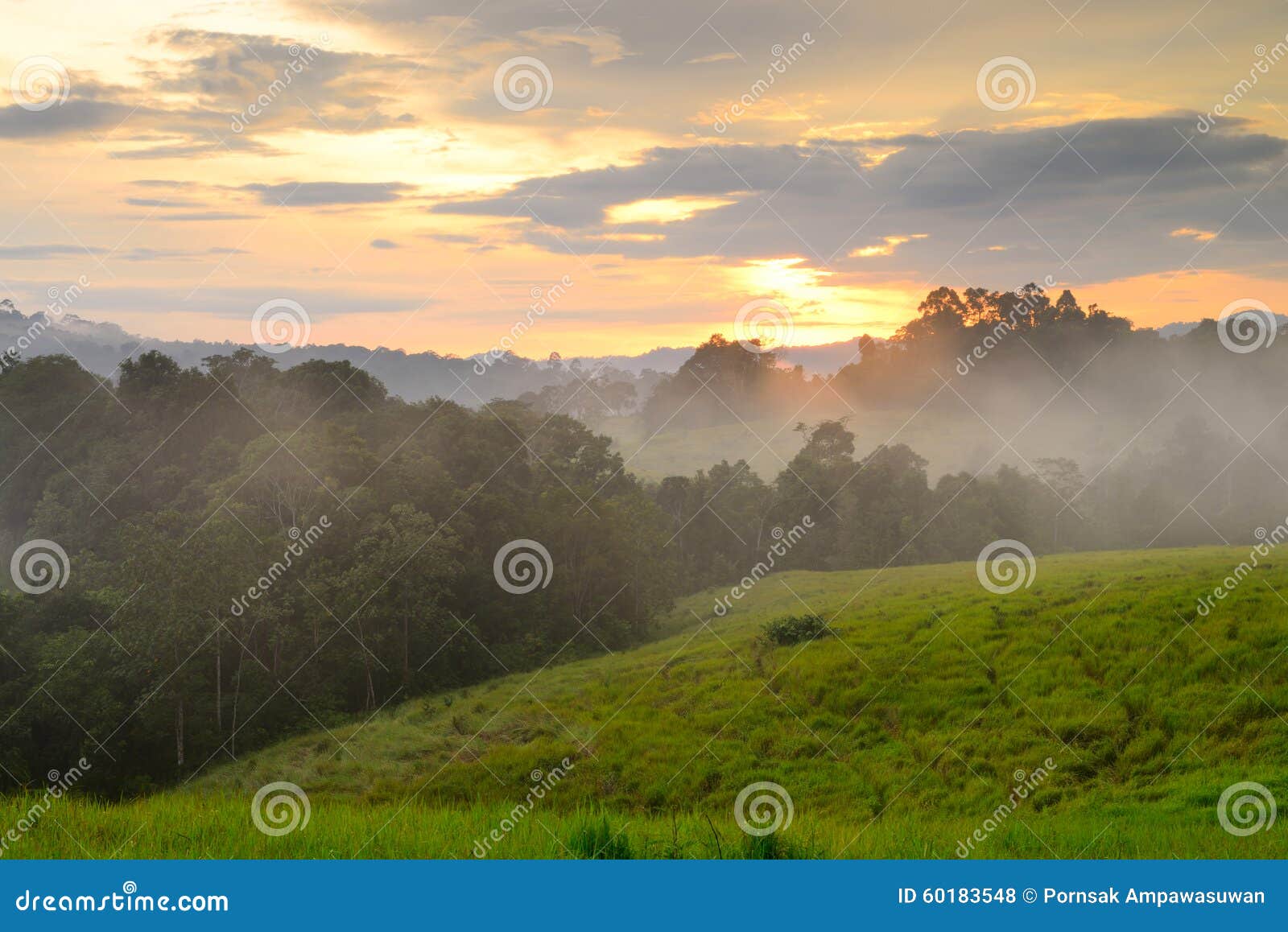 Fog and light stock photo. Image of landscapes, sunlight - 60183548