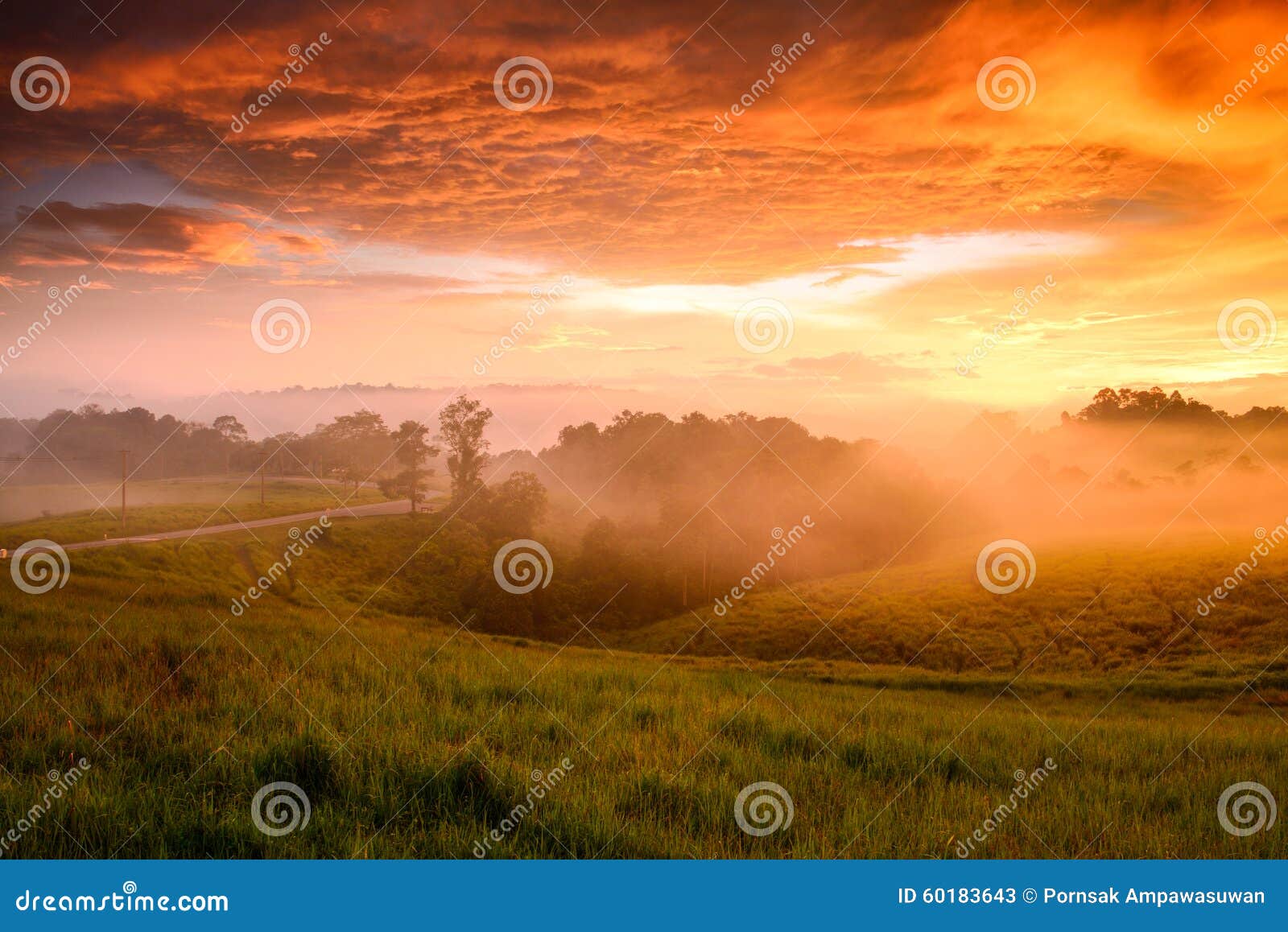 Fog and light stock image. Image of dawn, movement, countryside - 60183643