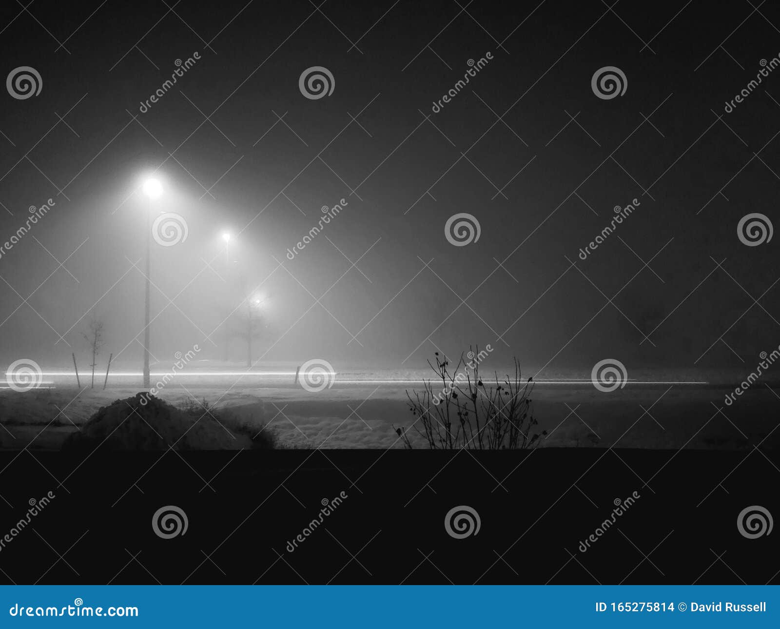 Fog and Lights stock photo. Image of headlight, hazy - 165275814