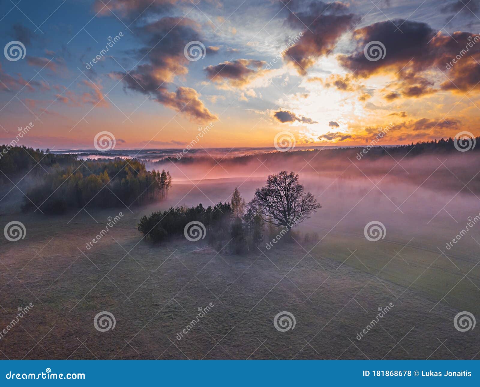 Fog and Mist Covering the Fields with Tree in Lithuania Stock Photo ...