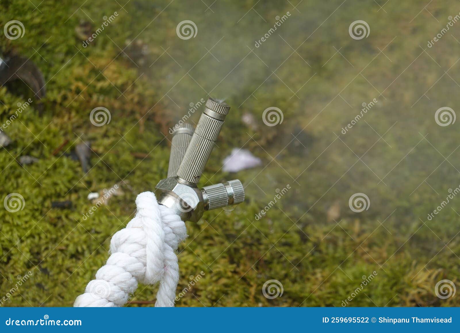 A Fog or Mist from Water Spray Nozzle in Garden. System for Cooling the ...