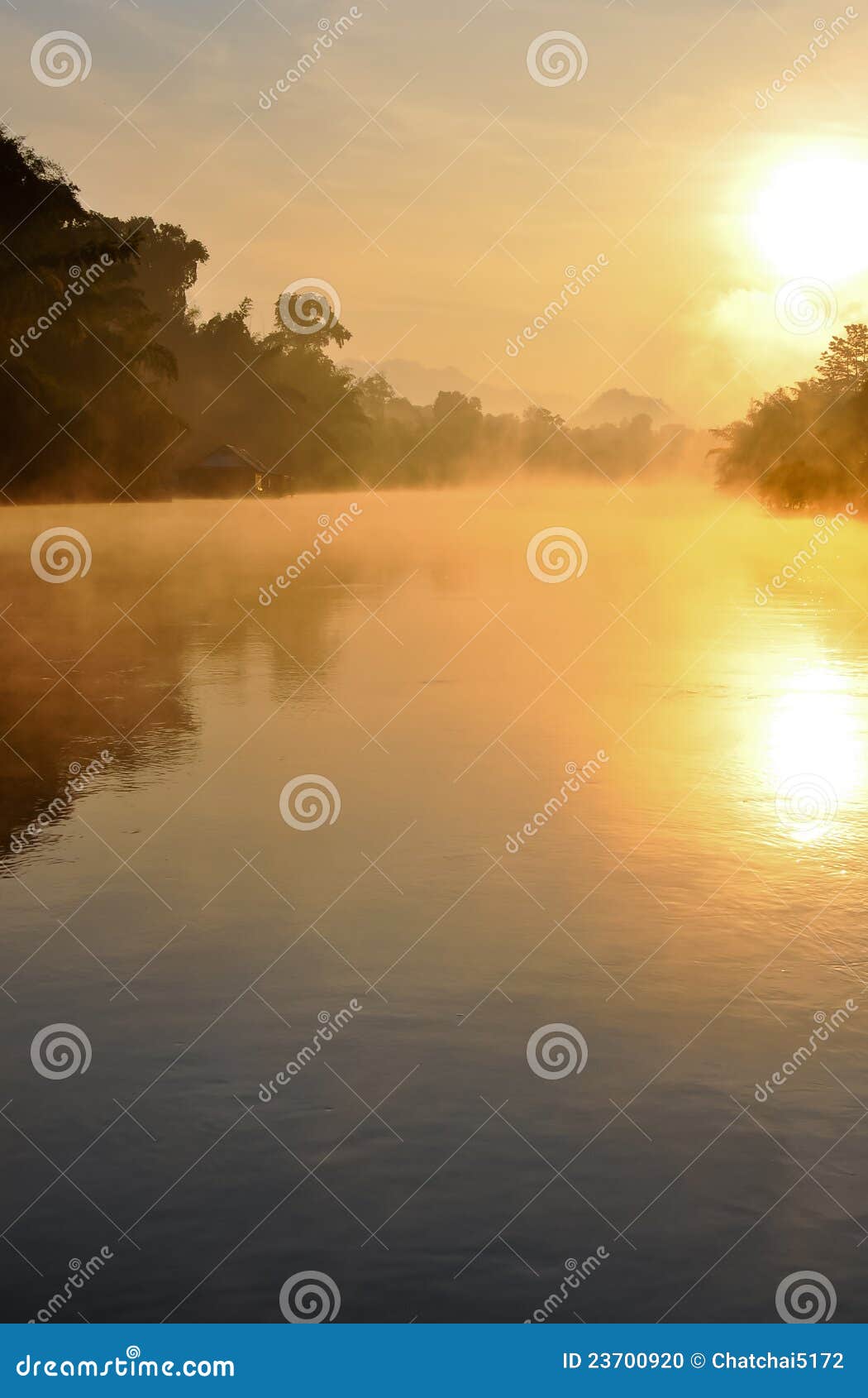 Fog in the morning stock photo. Image of morning, nature - 23700920