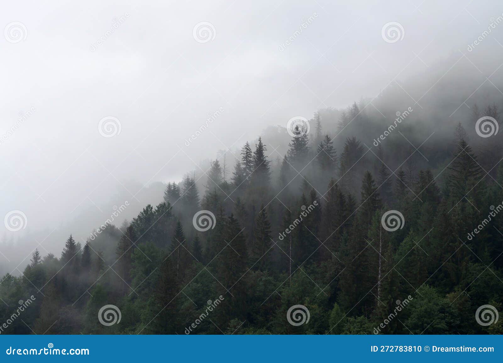 Fog in the Mountains. an Interesting Background for Inscriptions in a ...