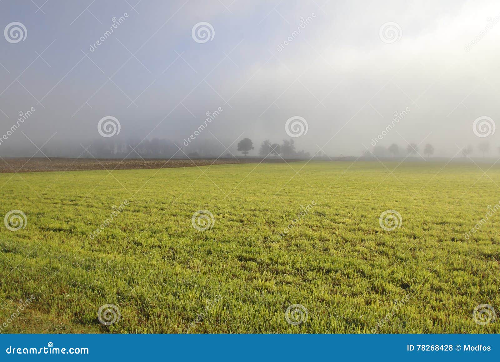 Fog Over Agricultural Land stock photo. Image of land - 78268428