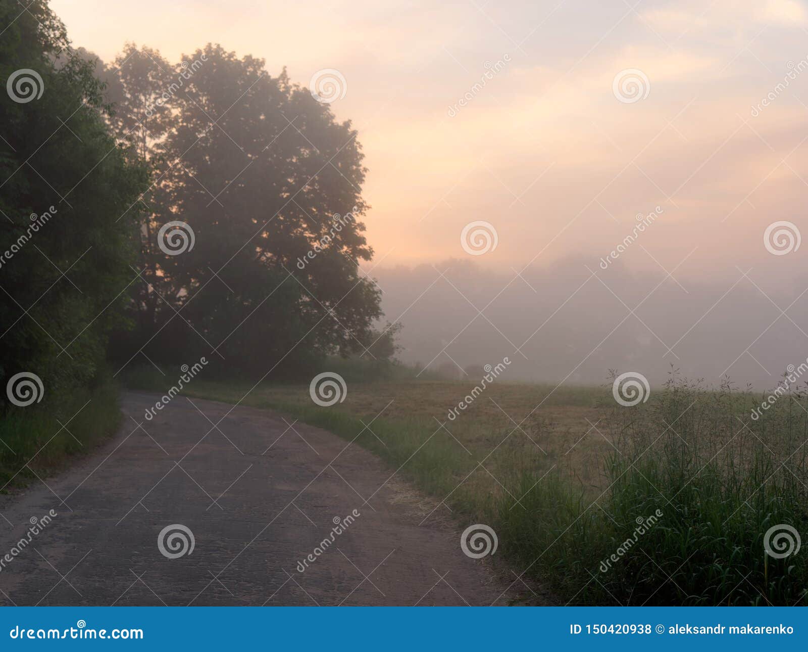 Fog Over Country Road at Sunrise in Summer Stock Photo - Image of ...