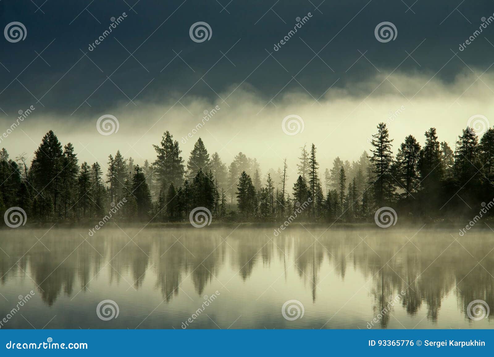 Fog Over the Forest by the Shore of the Lake. Stock Photo - Image of ...