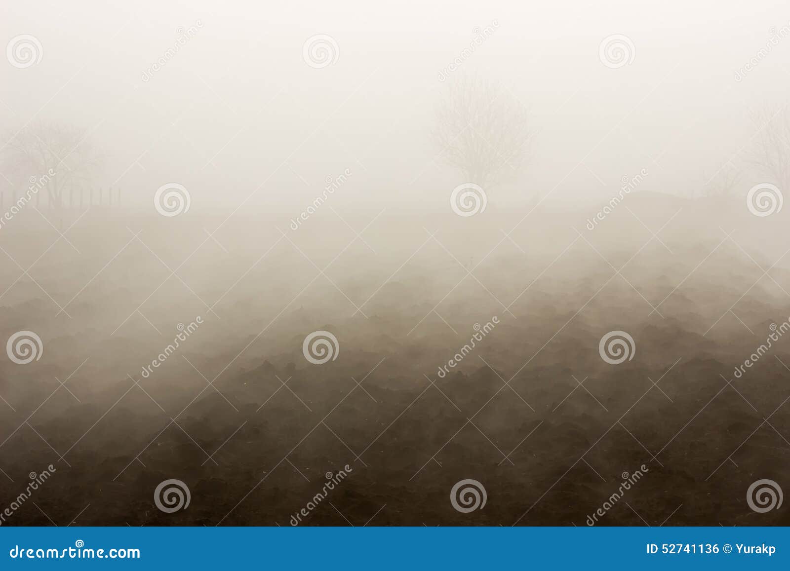 Fog over a ground stock photo. Image of water, scene - 52741136