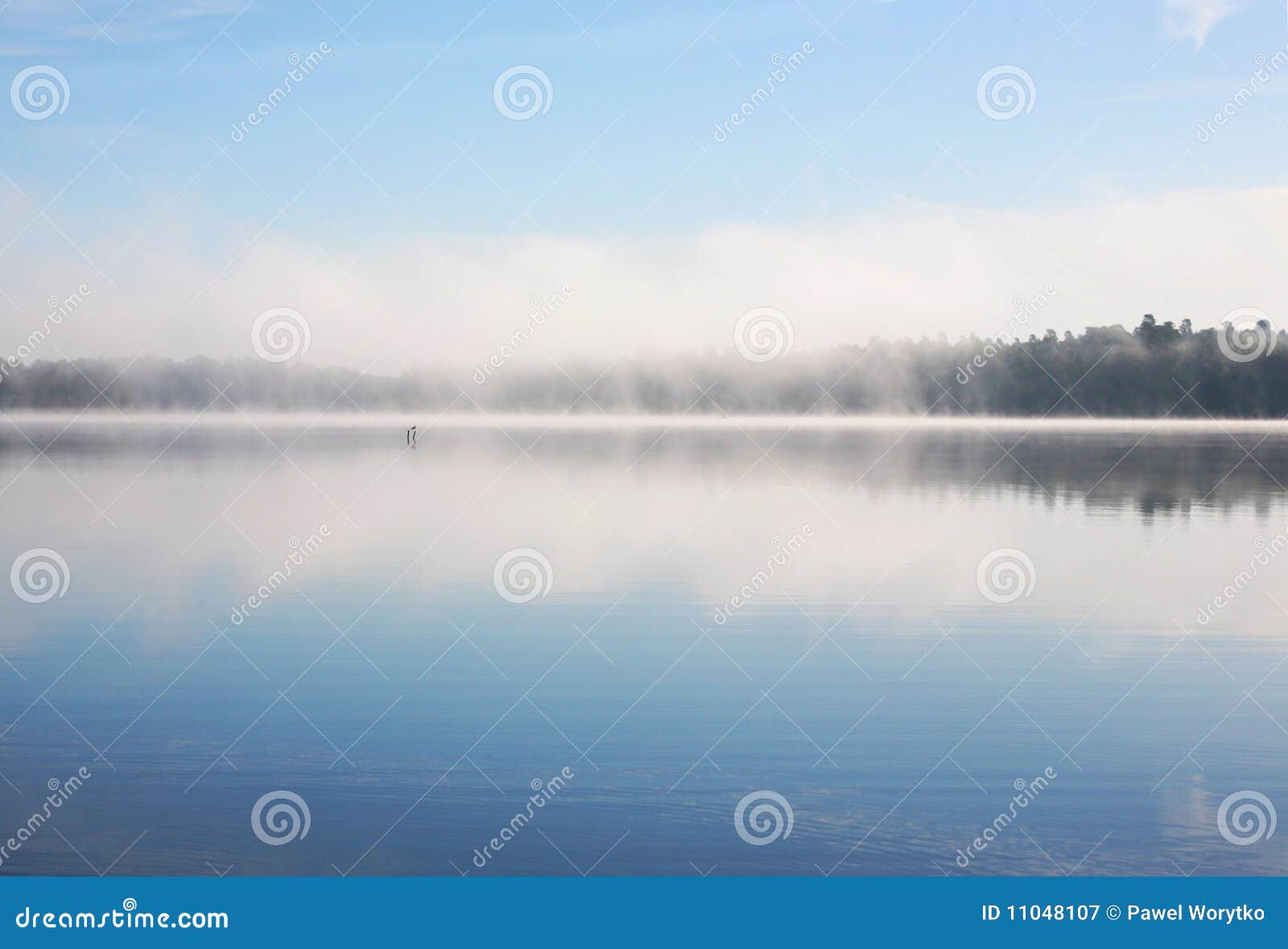 Fog over the lake stock image. Image of lake, beauty - 11048107